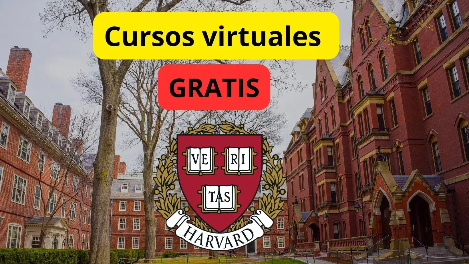 La Universidad de Harvard ofrece más de 120 cursos virtuales GRATIS | Universo Actual