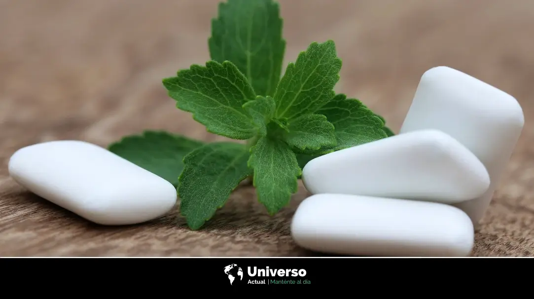 ¿De qué esta hecho el chicle y cuál es su verdadero origen? | Universo ...