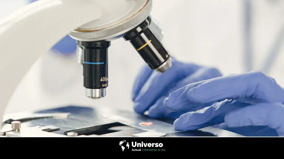 Microscopios de campo claro: ¿Qué son y para qué se usan? | Universo Actual