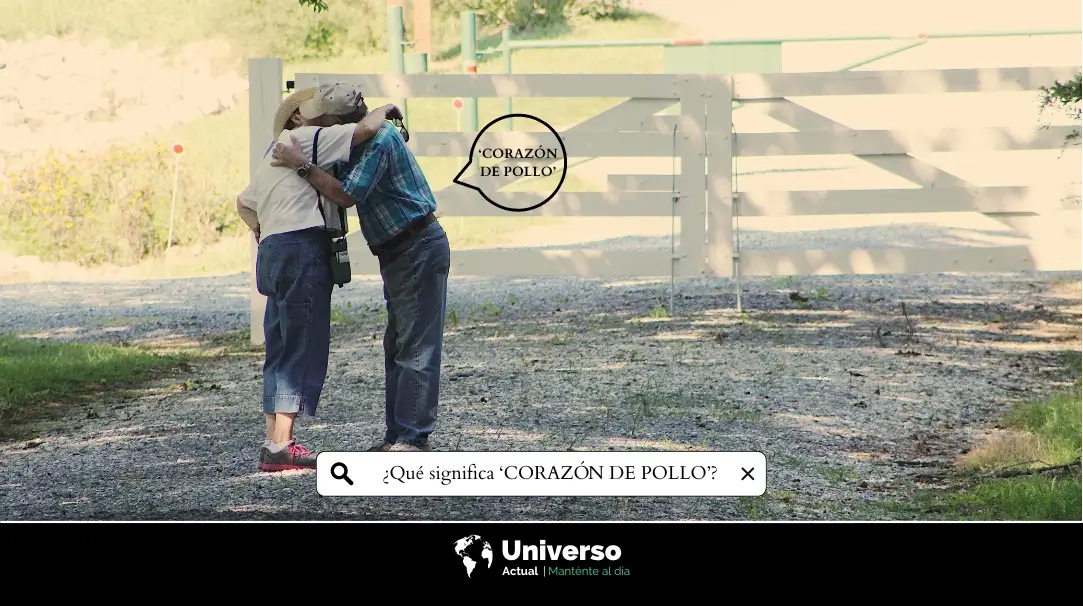 ¿Qué significa el refrán 'corazón de pollo' y cuál es su origen ...