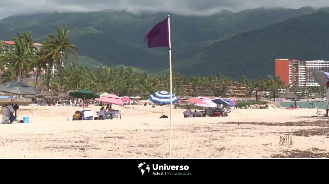 Qué significa la particular bandera morada en la playa | Universo Actual