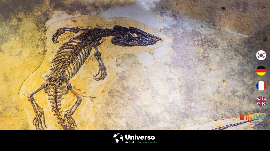 Animales de la Era Paleozoica: ¿Cuáles son y que características tienen ...