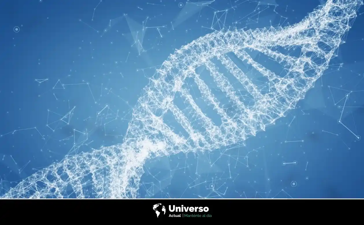 ¿Qué son los materiales bidimensionales? Propiedades y avances ...