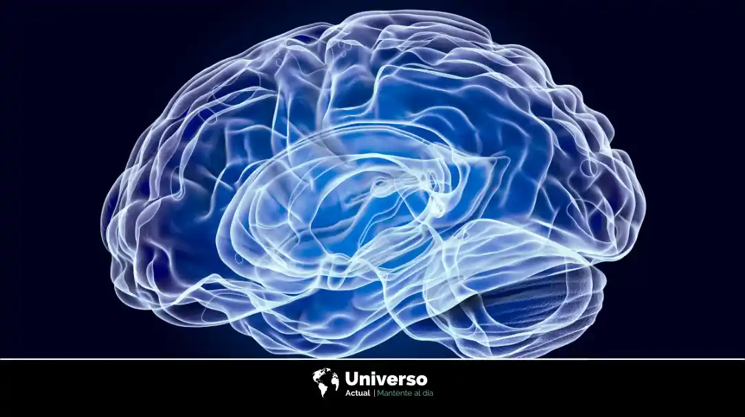 ¿Qué es una neuroprótesis? Guía completa y usos | Universo Actual
