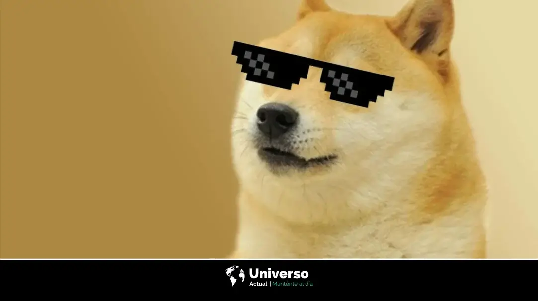 ¿Quién es Cheems? El perrito meme que conquistó internet | Universo Actual